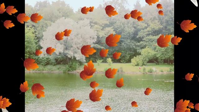 Подари мне эту осень стихи Вячеслав Жук исп фото видео Татьяна Талызина муз Виктор Воронцов