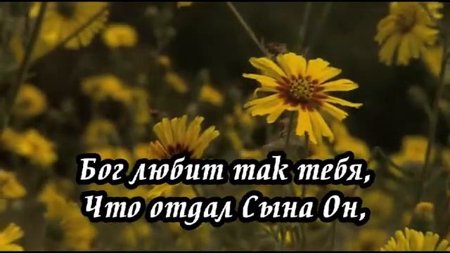 Ксения Лапицкая - Взглянь на крест(-)