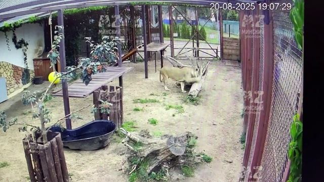 Заходите гости дорогие 20.08.2025