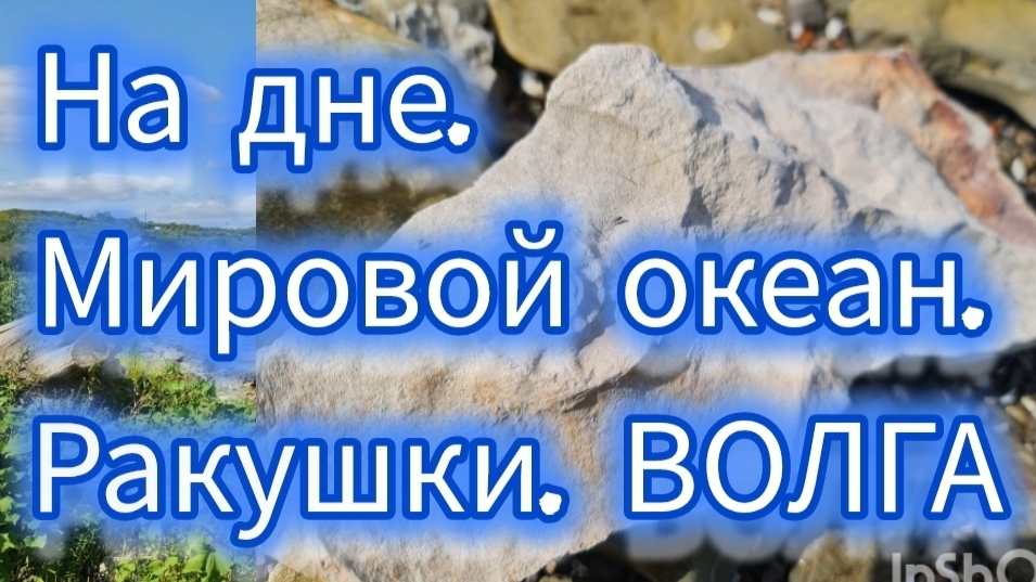 На дне. Мировой океан. Ракушки. Окаменелости. Волга.