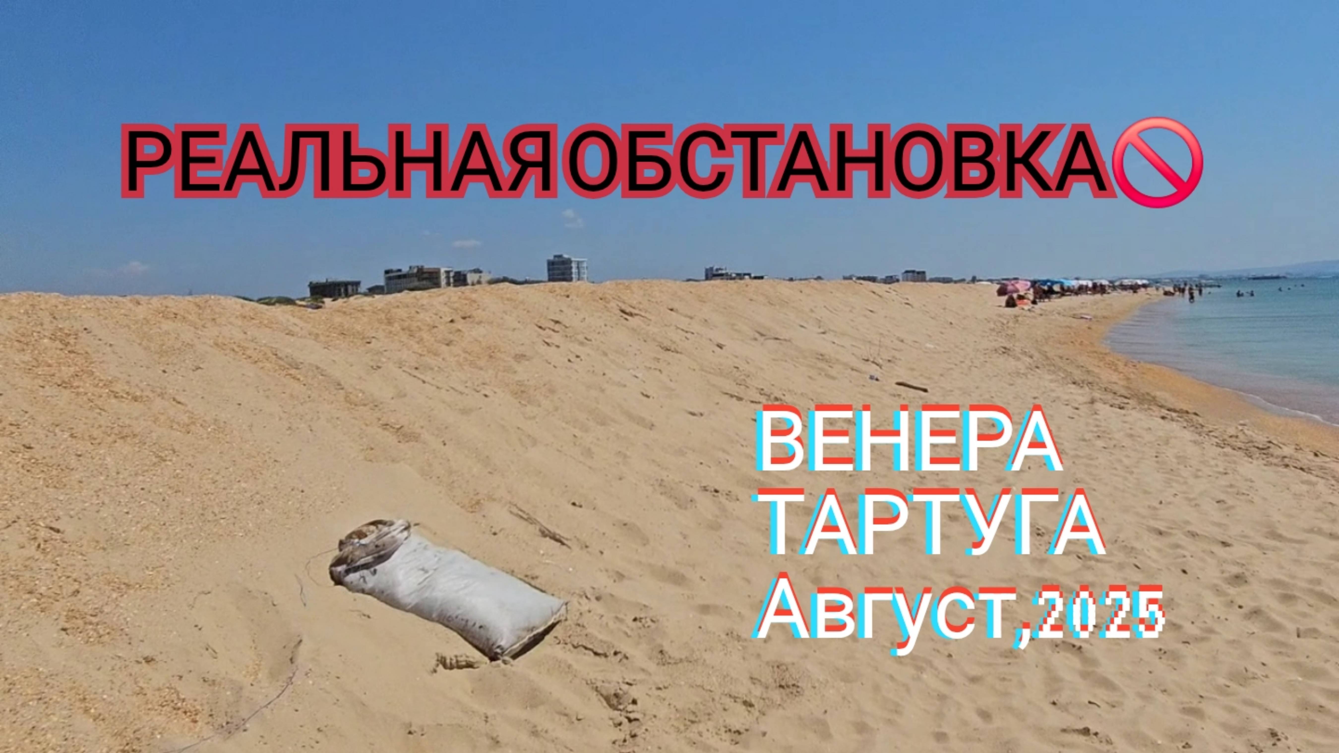 РЕАЛЬНАЯ ОБСТАНОВКА/ВИТЯЗЕВО, август 2025. ВЕНЕРА#ТАРТУГА