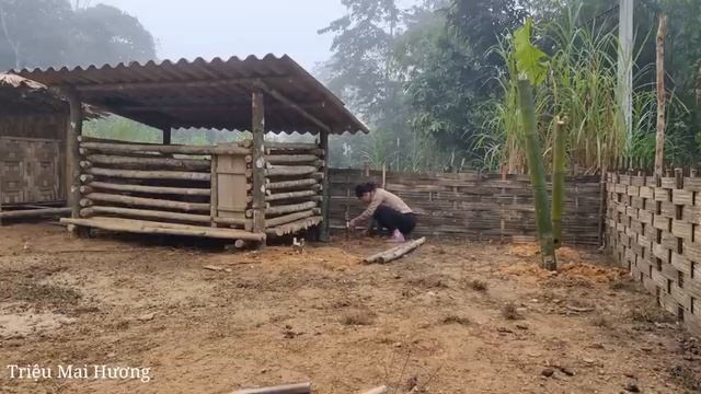 FULL VIDEO: 190 Days Build farm in the forest to raise livestock and poultry (Pigs, Ducks, Chickens)