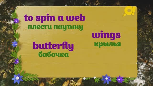 Учим английский в песенках: слова на тему  "НАСЕКОМЫЕ"