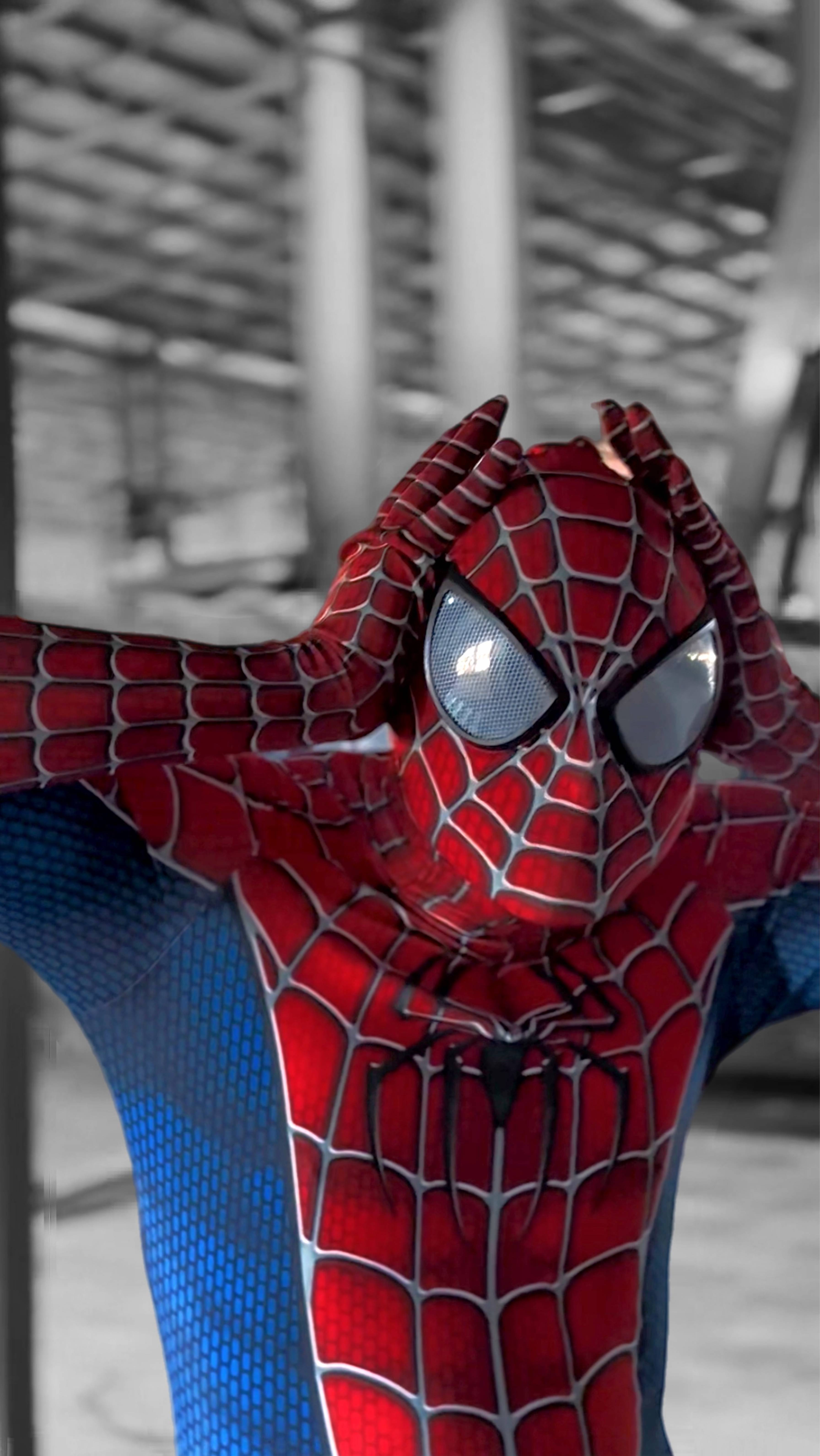 SPIDER INSLIFT 250 справляется с задачами на высоте не хуже супергероя!