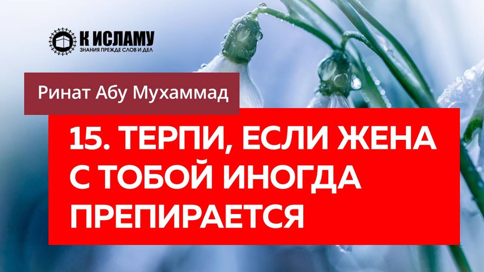 15/40. Терпи, если жена с тобой иногда препирается — Ринат Абу Мухаммад