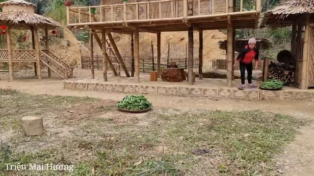 FULL VIDEO: 165 Days of Making Complete The Farm Gate, Preserving & Preliminary Vegetables, Pet Care