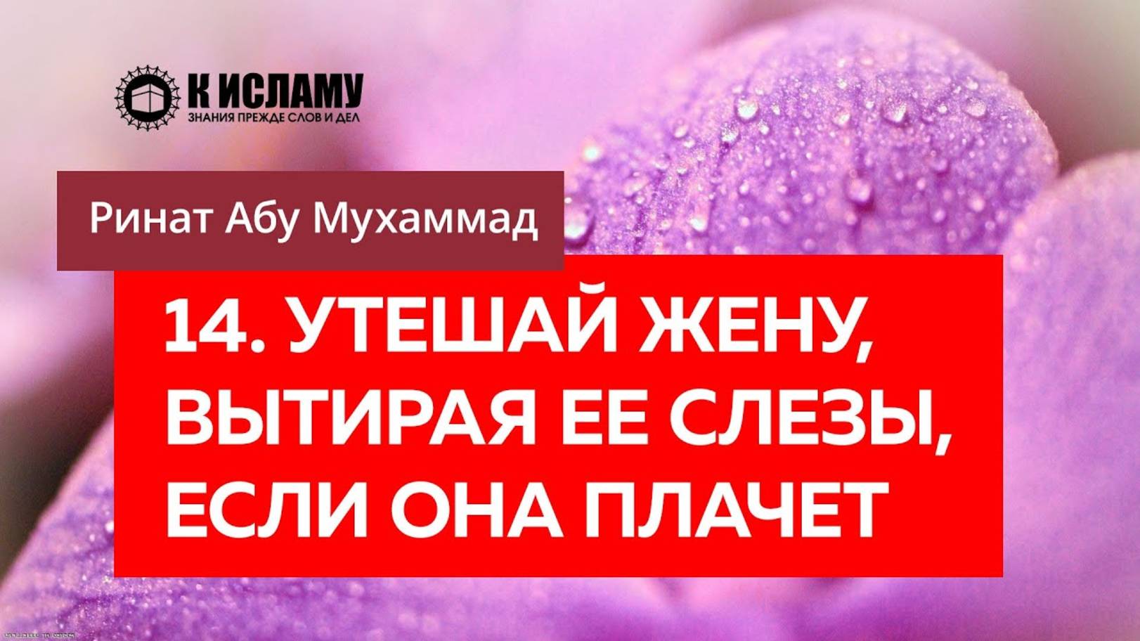 14/40. Утешай жену и вытирай её слезы, если она плачет — Ринат Абу Мухаммад