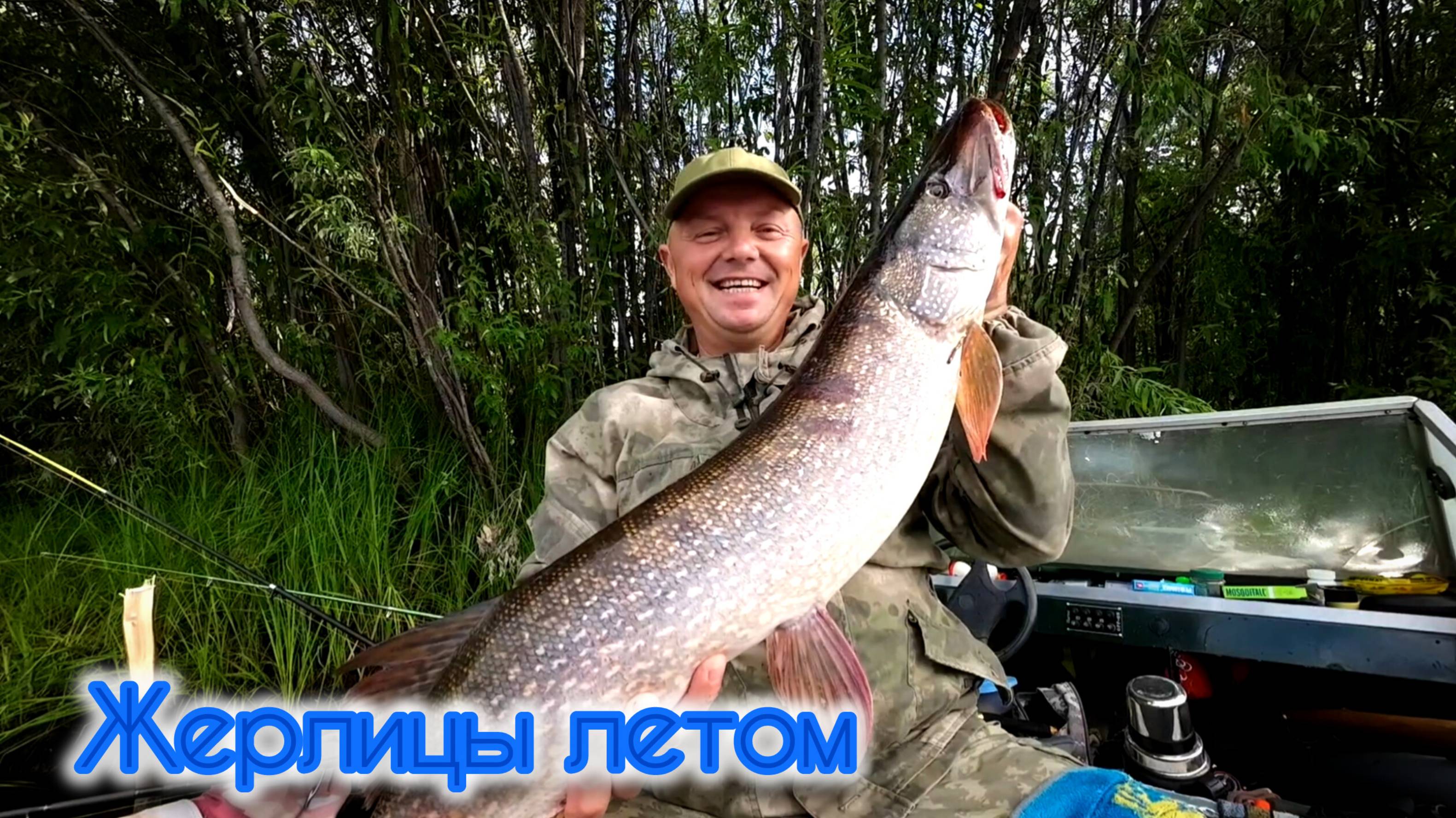 ПОСТАВИЛ ЖЕРЛИЦЫ И НЕ ПРОГАДАЛ !!!