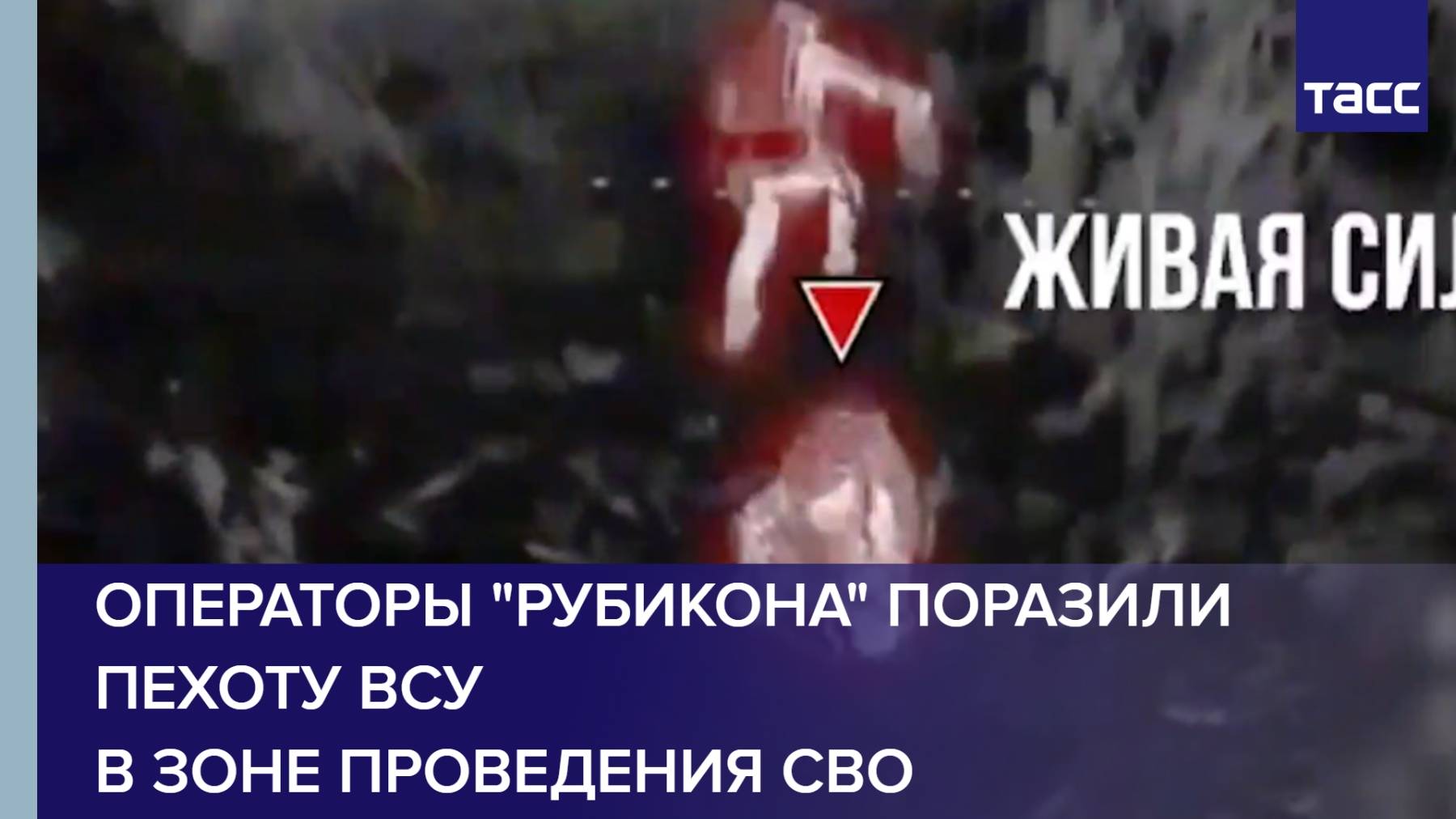 Операторы "Рубикона" поразили пехоту ВСУ в зоне проведения СВО