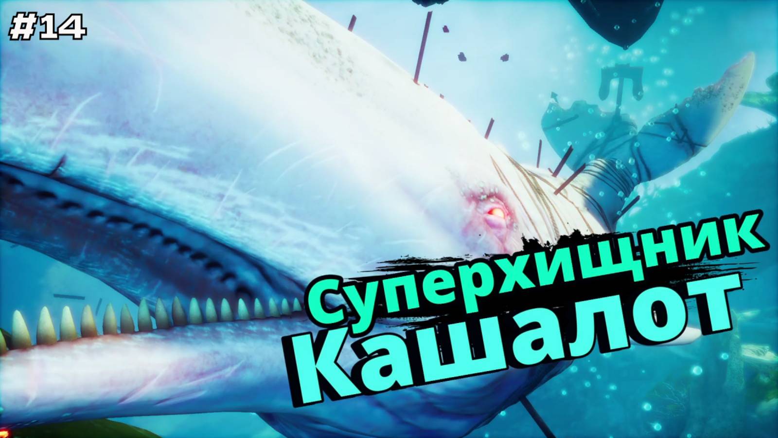 Maneater #14 Залив, изучение локации.