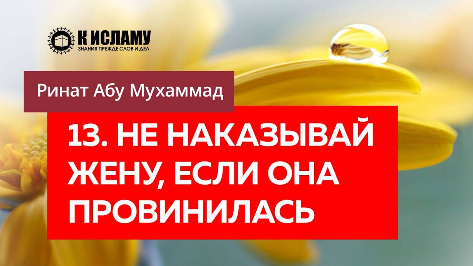13/40. Не наказывай жену, если она провинилась — Ринат Абу Мухаммад