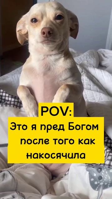https://t.me/neideal_xristianka