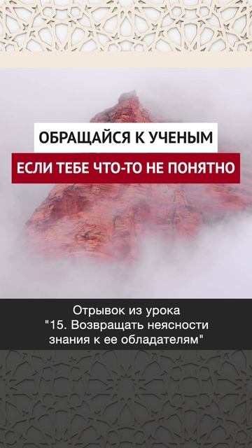 Обращайся к ученым, если тебе что-то не понятно | Динар абу Идрис #ислам #факты #истина #вера #коран