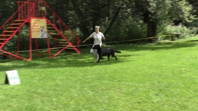 РЛ Ундина