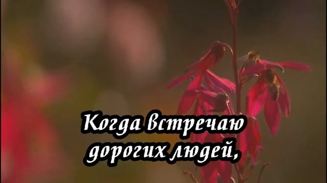 Ксения Лапицкая - Господень дом(-)