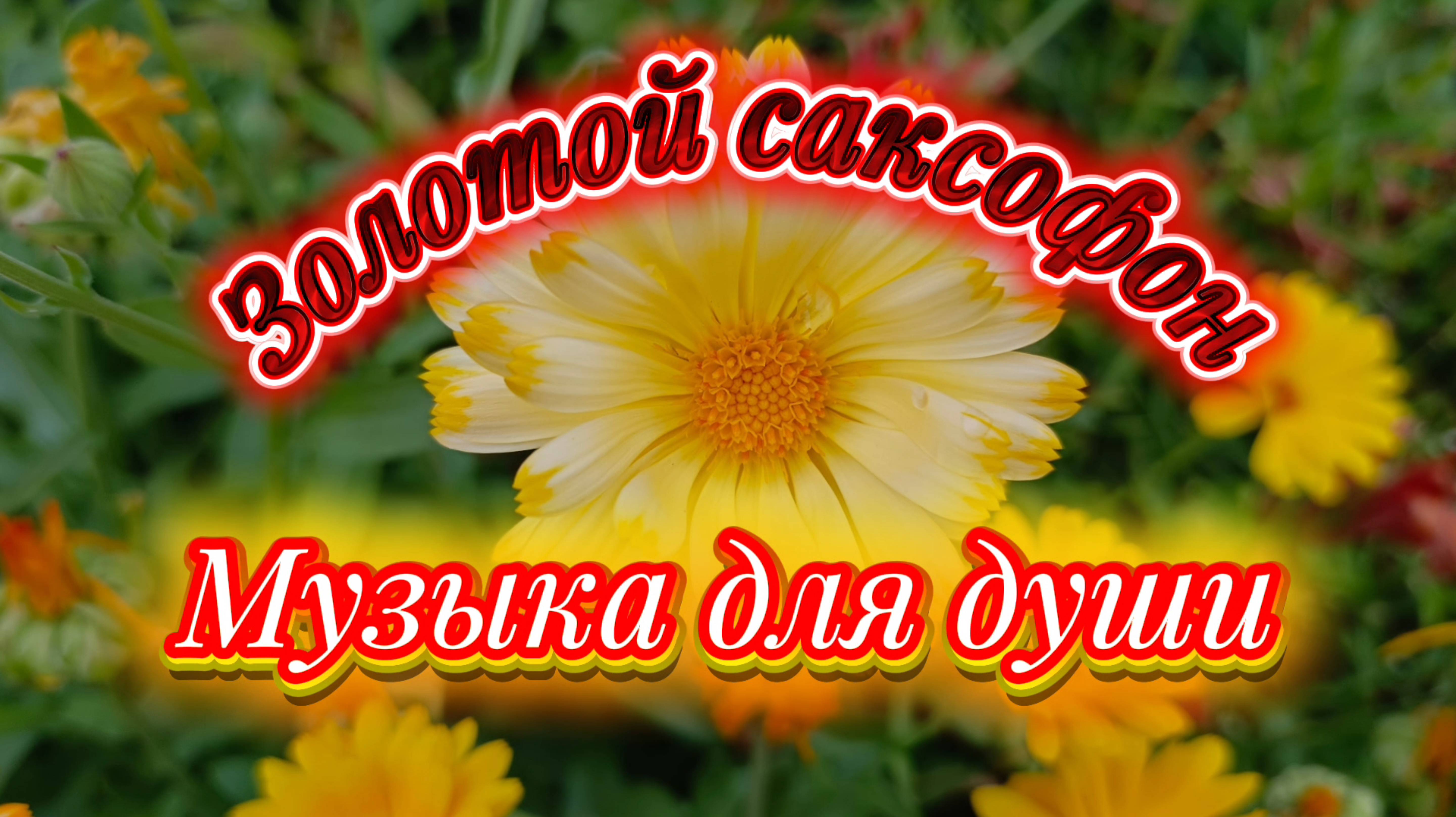 Музыка для души. Золотой саксофон 🎷