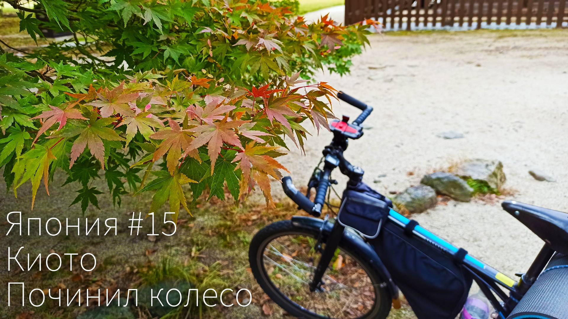 Киото. Поездатые поезда. Заменил колесо | Часть 15 | Пол-Японии и Кюсю-иссю на велосипеде.