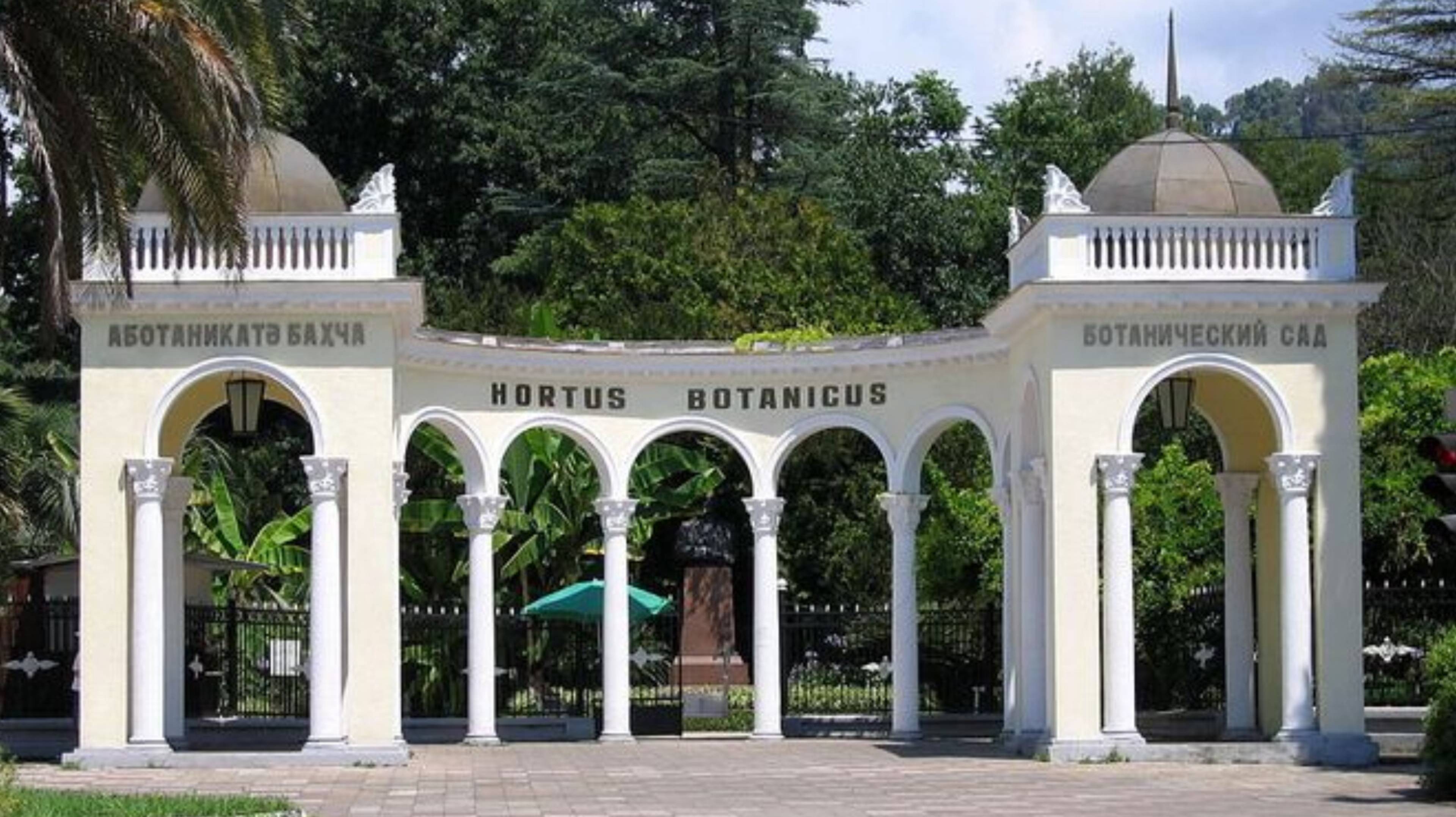 Смешные названия растений. Змея. Сухумский ботанический сад. Абхазия