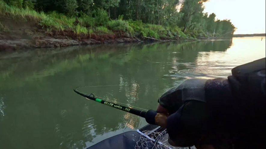 В КОРЯГАХ ЖИВУТ КРОКОДИЛЫ !!! Рыбалка на Оби 11 августа 2025г.