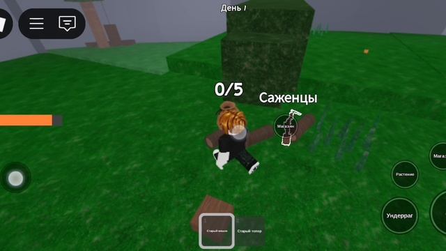 Ночь в лесу в Roblox.