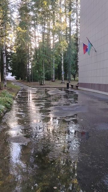 Забил Гейзер на Горе ©20250821