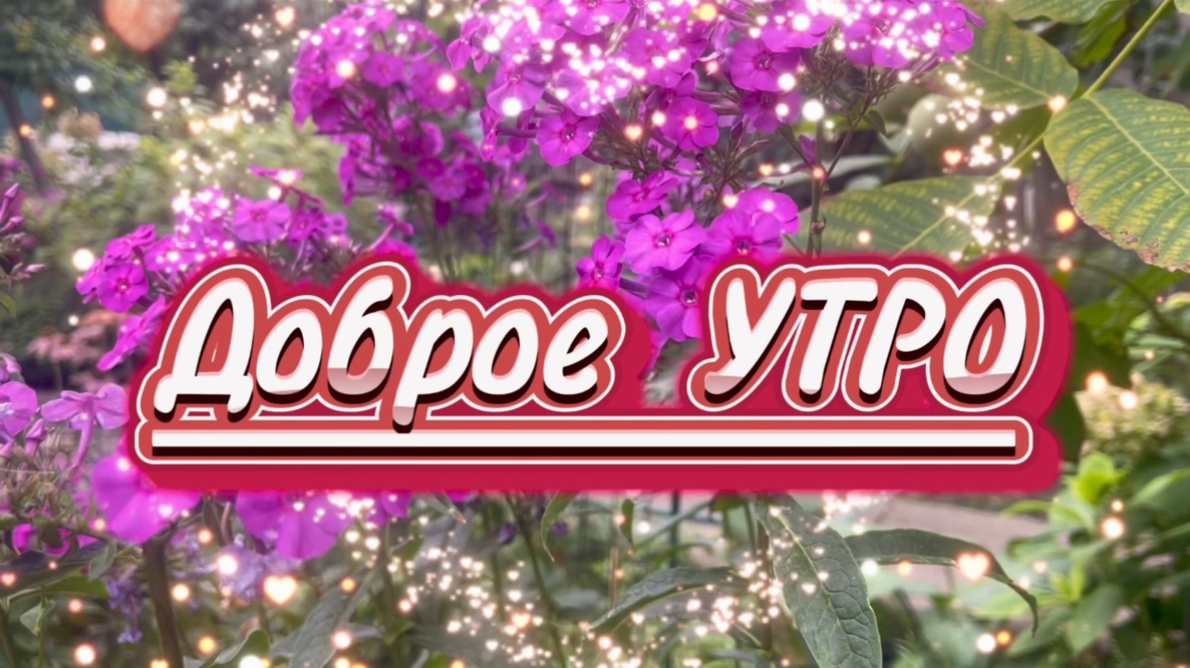 Доброе утро! Песня с добрым утром