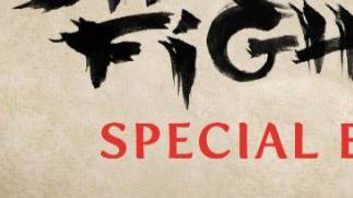 Шадоу файт 2 специальное издание №2 победил Кирпича