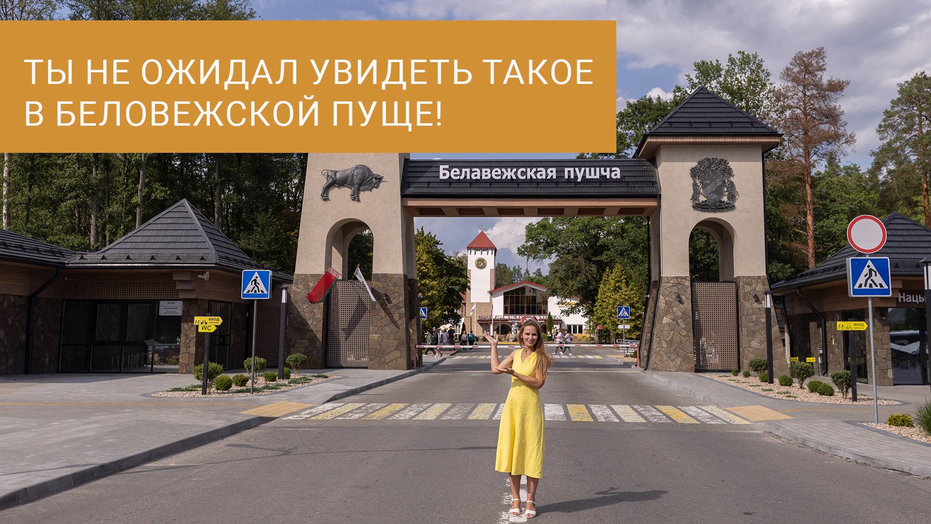 Тишина леса. Тепло дома. “Пинскдрев” в Беловежской пуще. Мебель из Беларуси