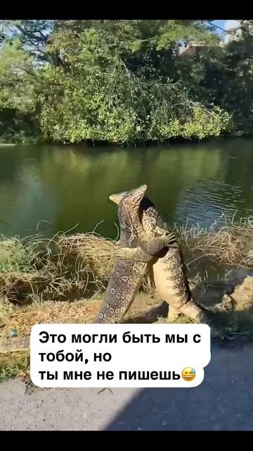 это могли быть мы с тобой #shorts