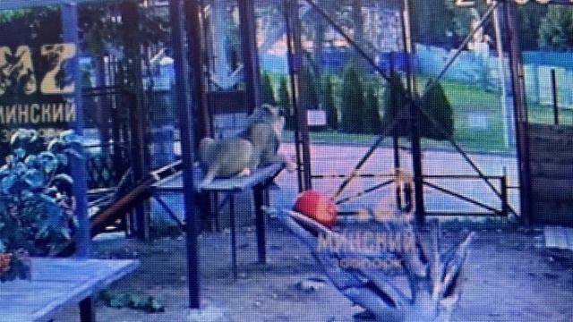 Шархан Вот и вечер наступил Всем спокойной ночи 21.08.2025