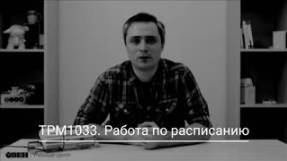 ТРМ1033. Работа по расписанию