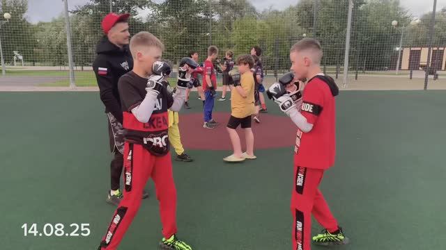 Kudo. СК Единоборств «Дружина»