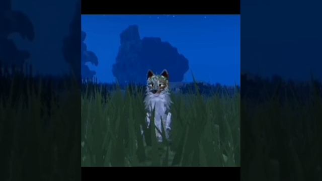 Как образуется имена в котах-воителях? Объясню всё поподробнее.