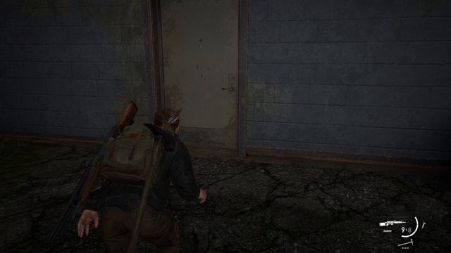 The Last of Us Part II. #29 Последний из нас. Часть II (29-я миссия)