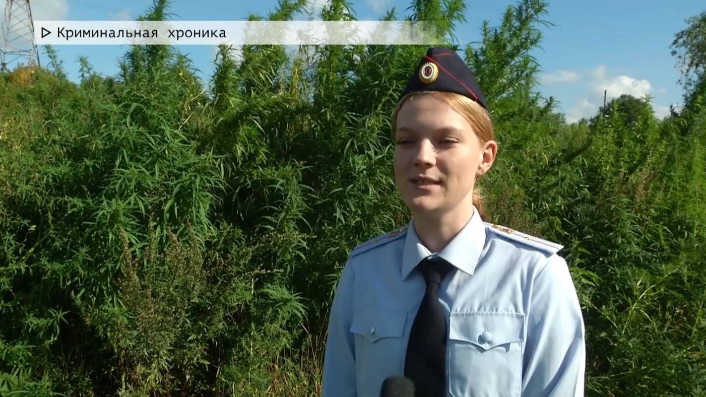 Время местное. Эфир: 22-08-2025 - Криминальная хроника