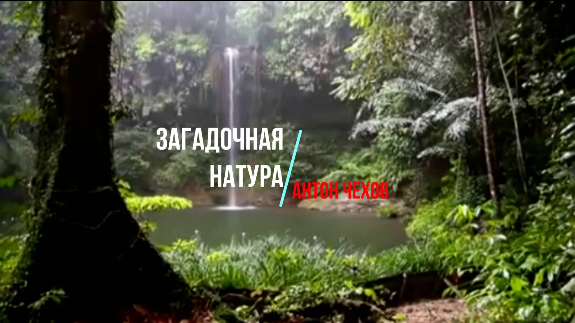 Аудиокнига