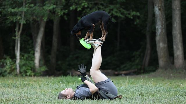 Кинологическая дисциплина ФРИСБИ