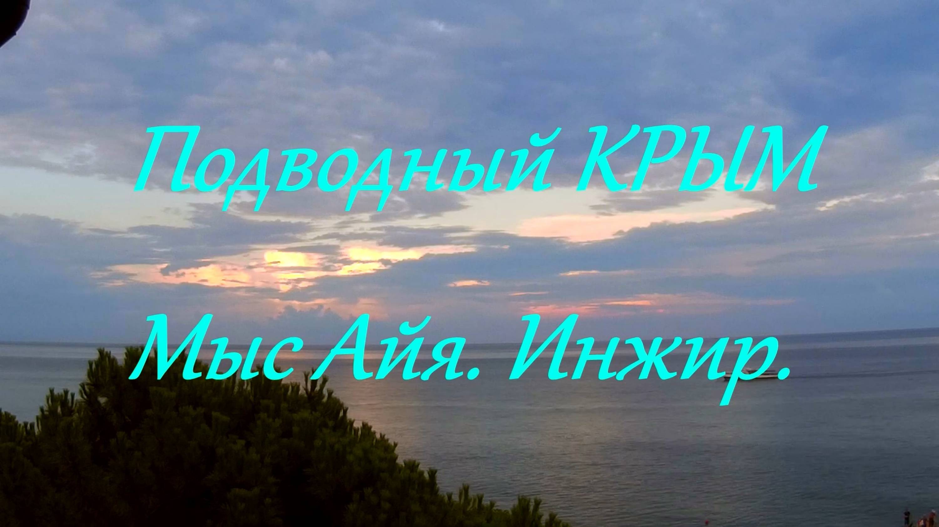 Подводный мир Крыма . Мыс Айя. Инжир.