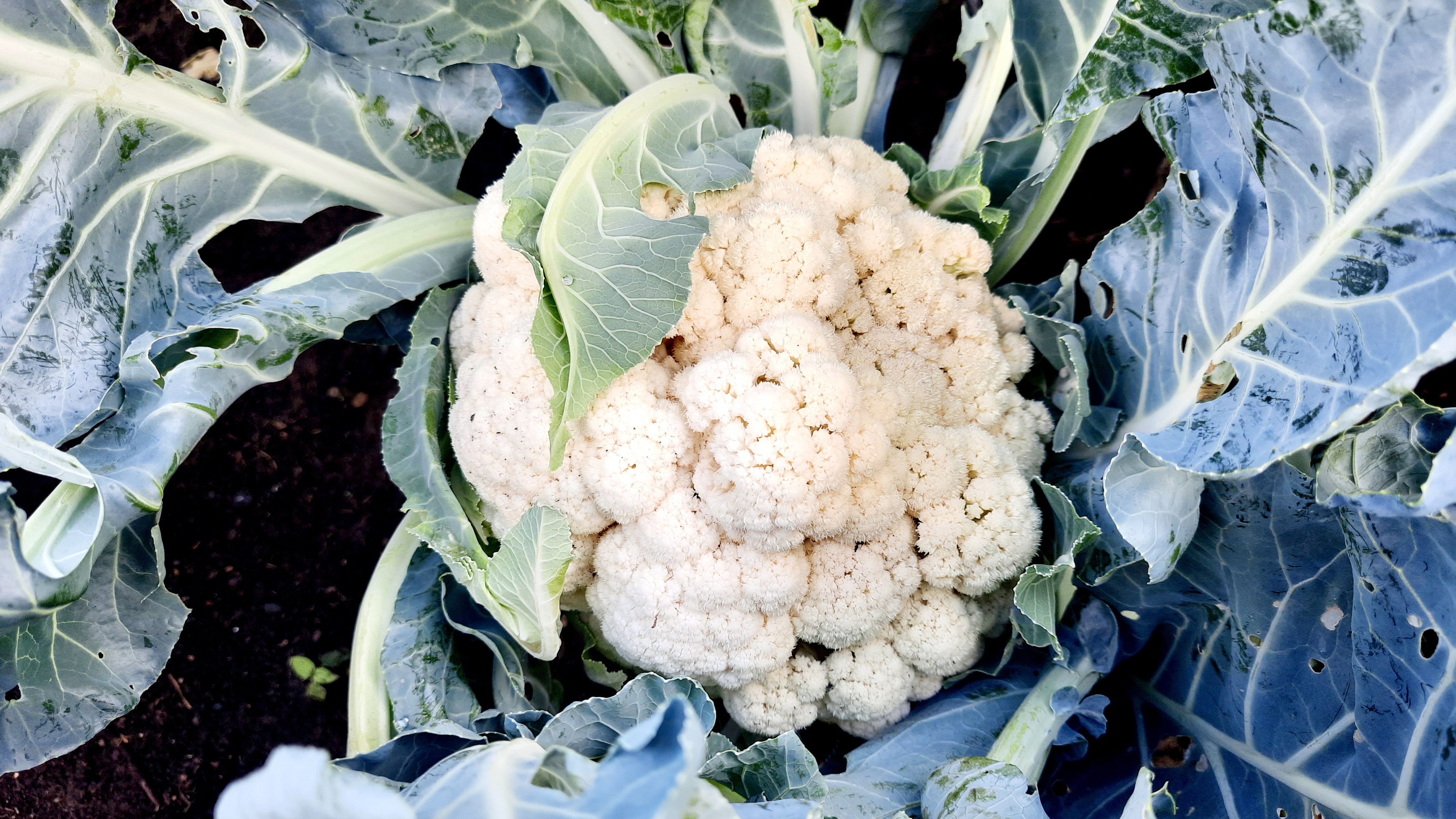 День за днём и скоро осень!🥦🌺🧣