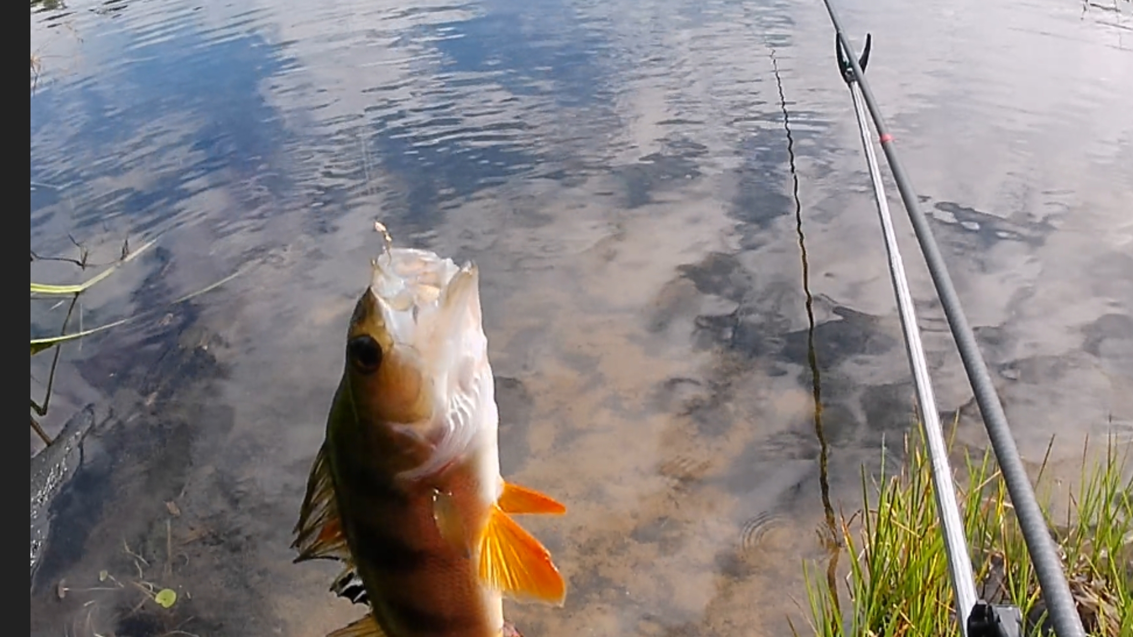 Рыбалка на херабуну.  Озеро Перчучное.
