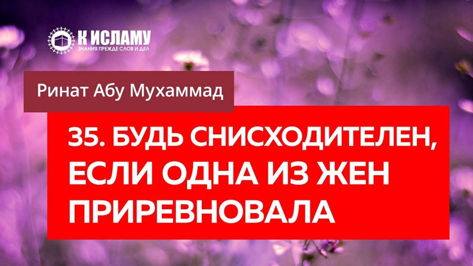 35/40. Будь снисходителен, если одна из жен приревновала — Ринат Абу Мухаммад