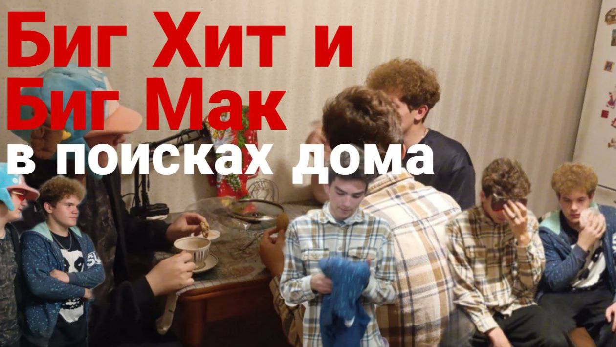 Биг хит и Биг Мак в поисках дома!(продолжение)