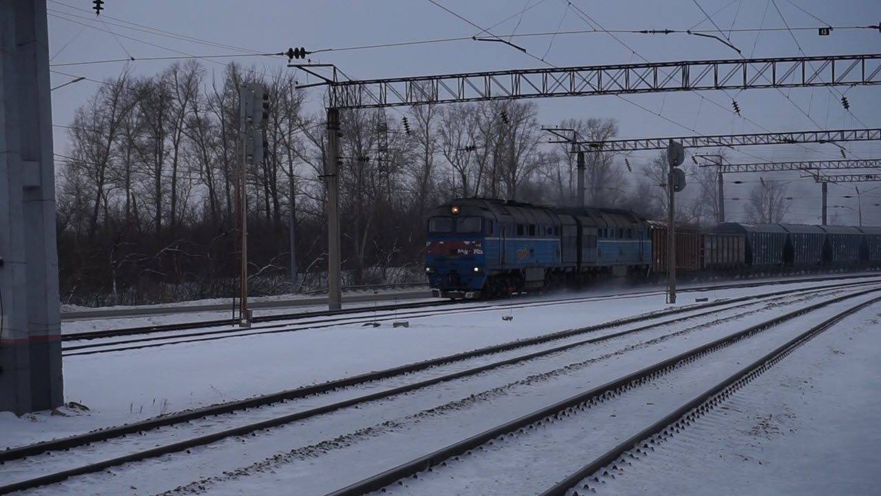 Тепловоз 2ТЭ116У-0025А/0065Б. Очередной котопёс.