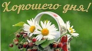 Чудесного дня. Музыкальная открытка пожелание.