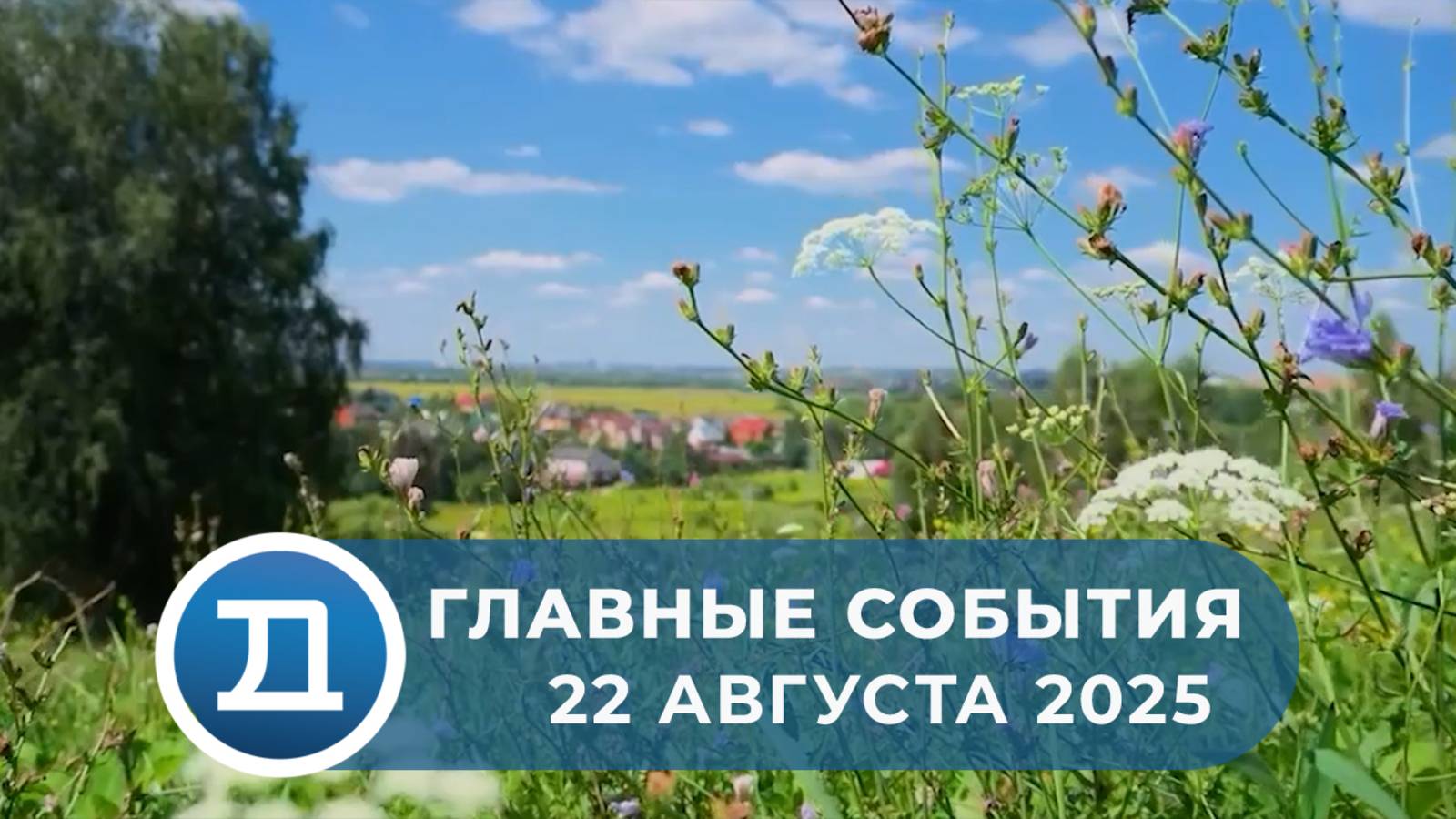 22.08.2025 Домодедово. Главные события.