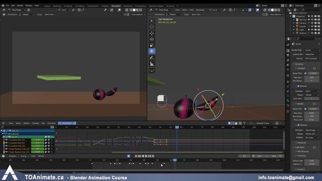 10 Advanced Tail Practice