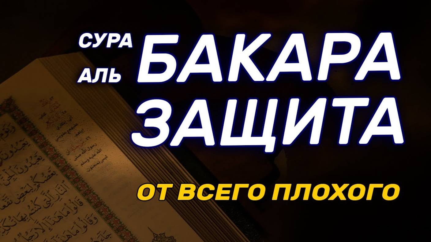 Сура Бакара. Коран. Слушать каждый день