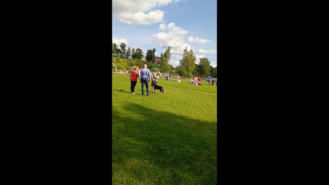 ОБ Империя