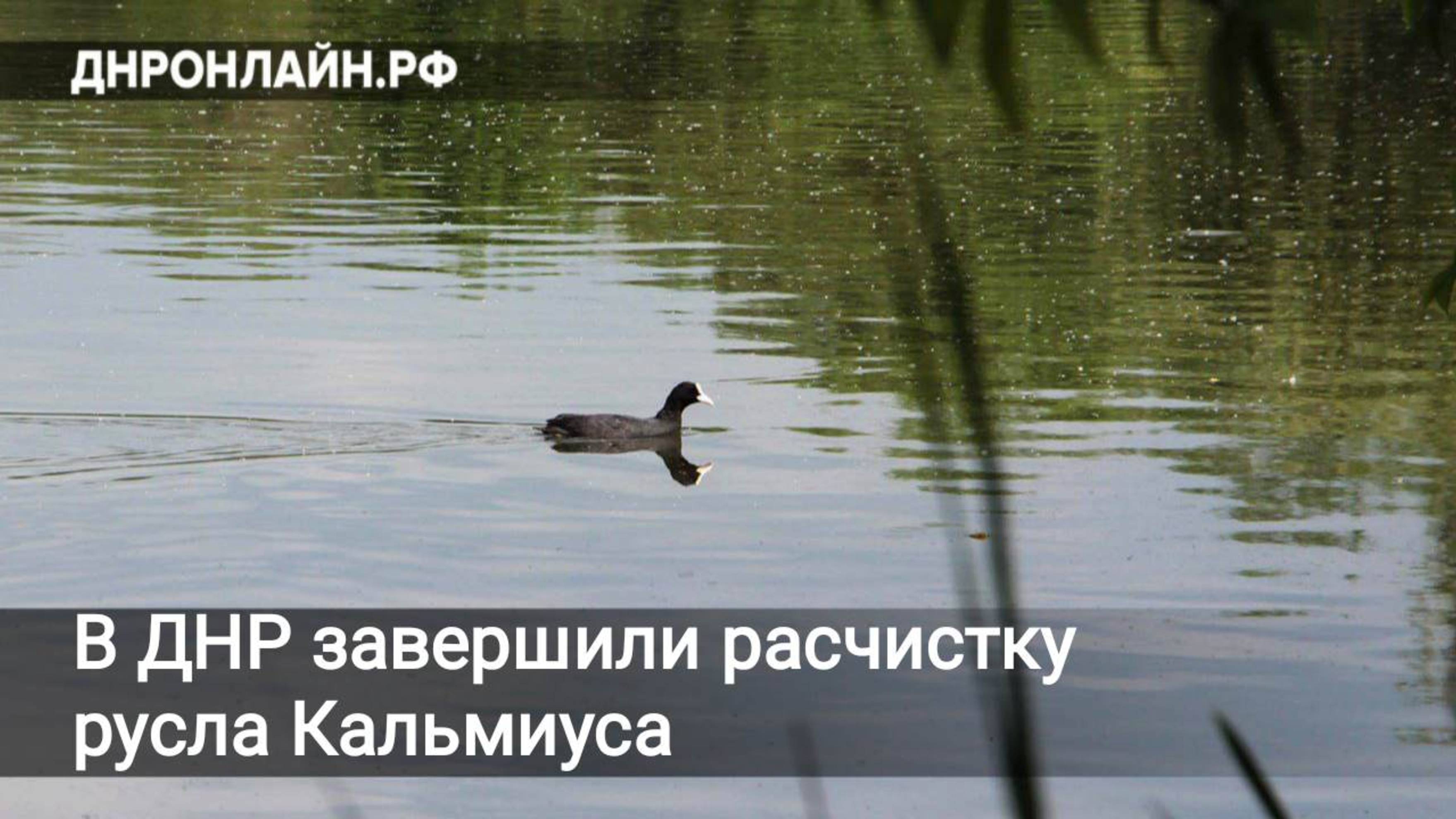 В ДНР завершили расчистку русла Кальмиуса
