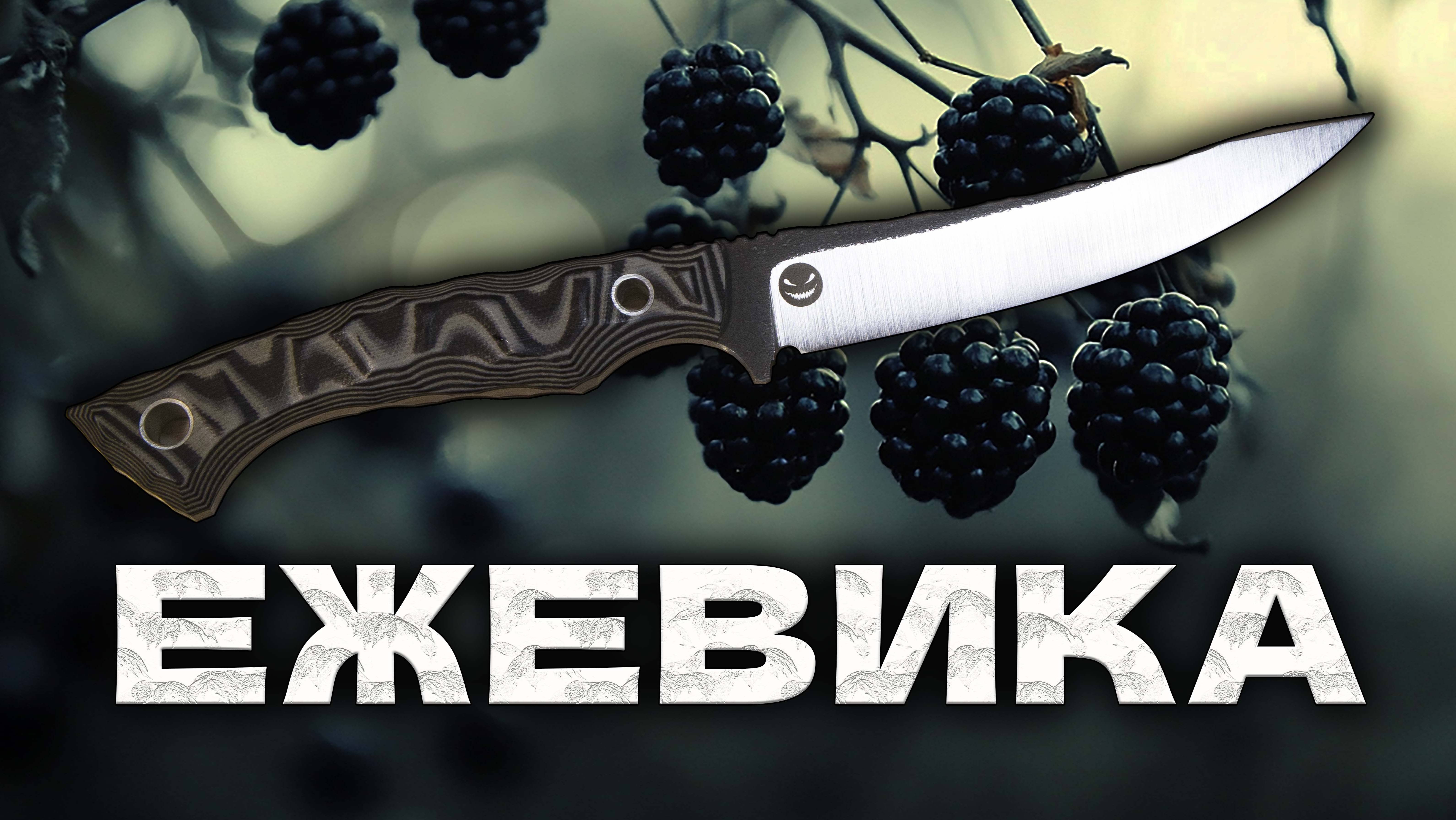 Ежевика - необычный нож Сергея Чаванина XII Knife | Разговоры о ножах | Рубрика любимые ножи